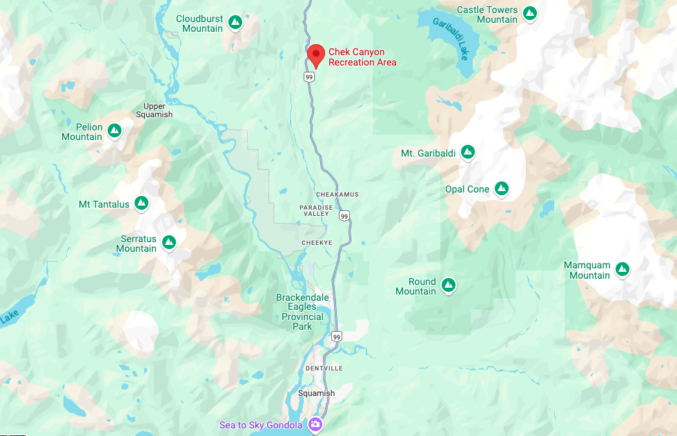 B.C. slack-line walker forgot to re-attach leash before fatal fall ...