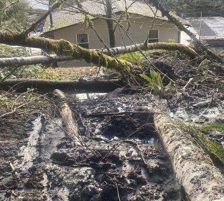 This B.C. man's home was assessed at just $2 due to landslide risk ...