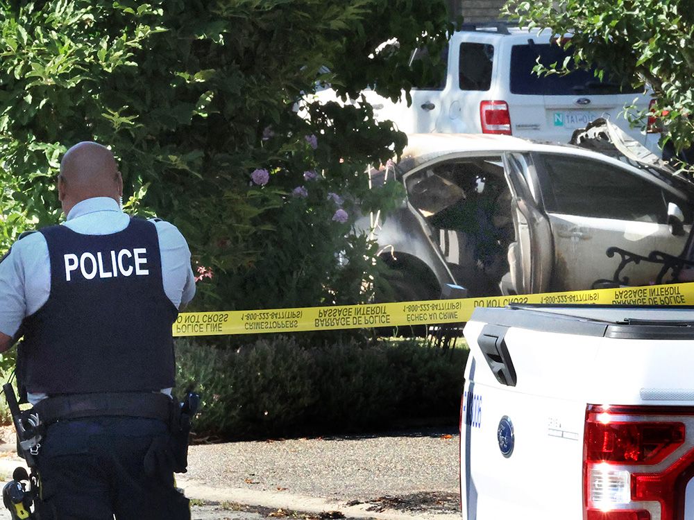 Three dead in Maple Ridge, one involving self-inflicted injury ...