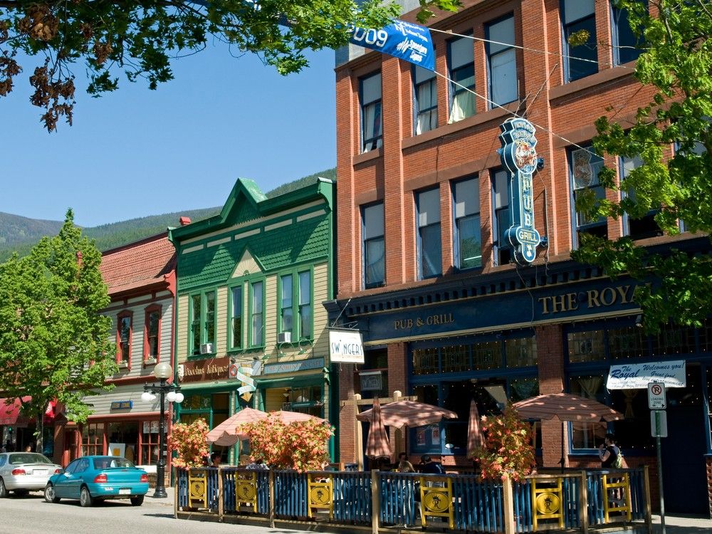 Fish deaths in Nelson after creek providing drinking water runs dry ...