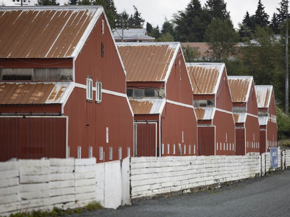 Is Fraser Downs closure the death knell for Horse Racing in B.C ...