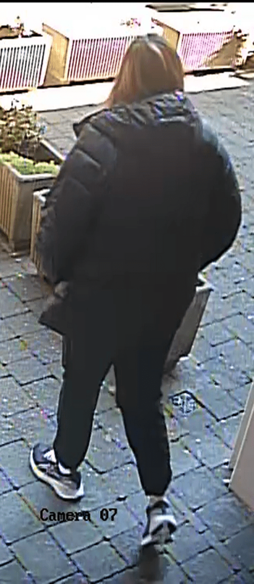 Family 'worried, upset' as Mounties search for North Vancouver woman ...