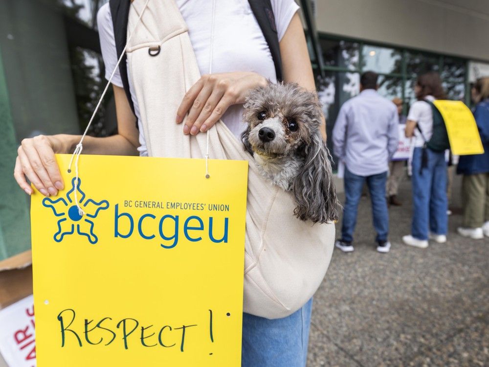 B.C. public workers start job action in Surrey and Victoria | Vancouver Sun