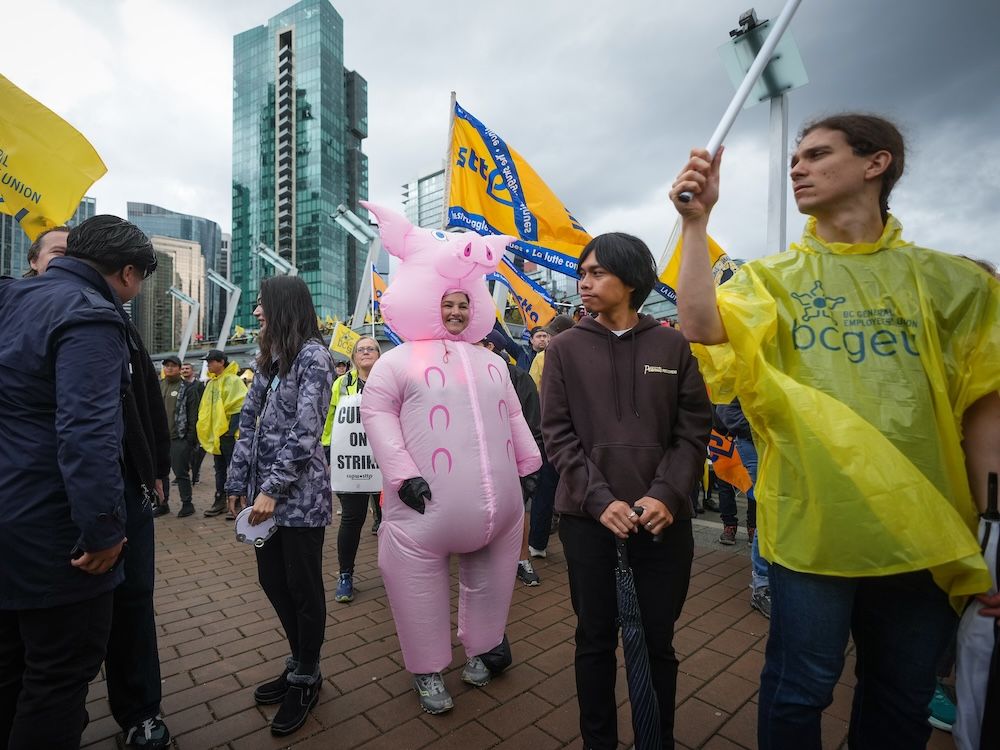 BCGEU strike expands to include wildfire, Ministry of Forests workers ...