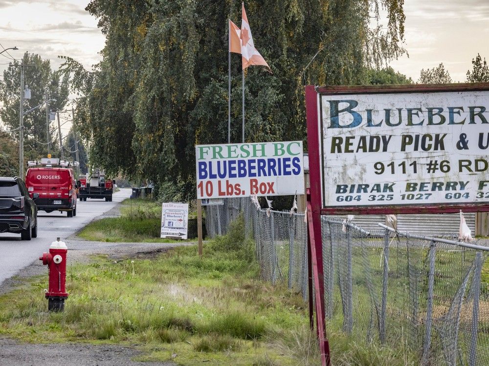 Big question mark hangs over land owners hit by Cowichan court ruling ...