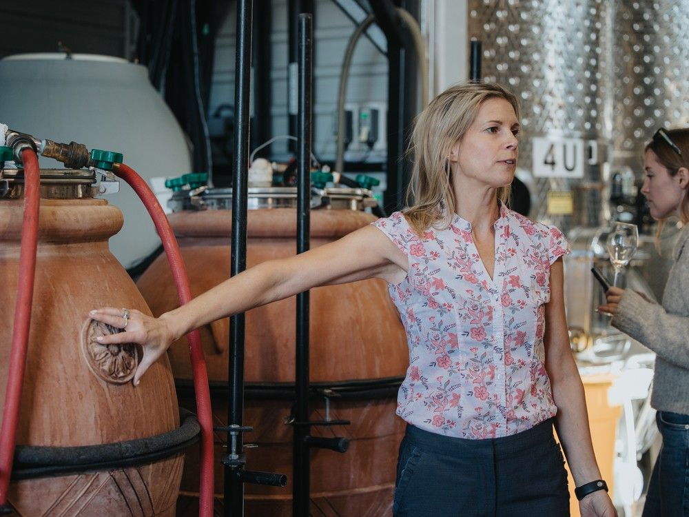 Laughing Stock named B.C.’s top small winery with signature blend ...