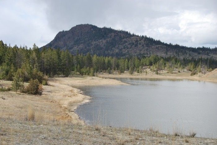 Will First Nations seek Aboriginal title to more private lands in BC ...