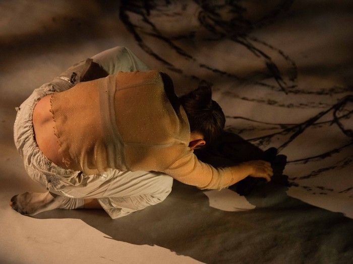 Prince George wildfire realities inspire new dance work Char ...