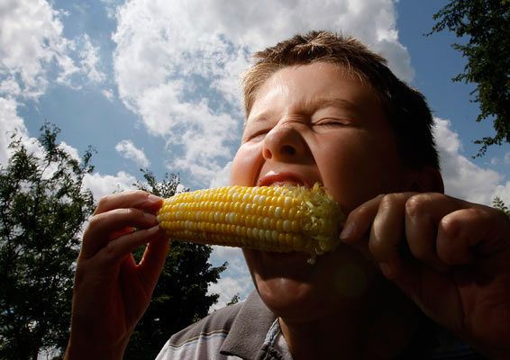 End of an era for Cornland Corner | Windsor Star