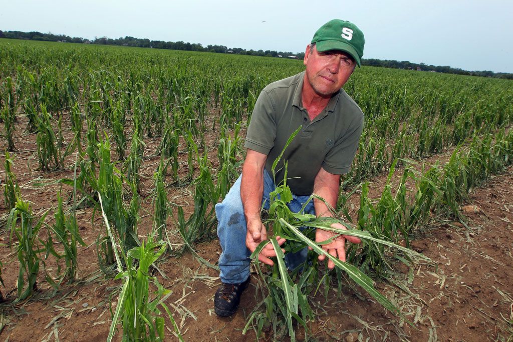 Essex seeks disaster aid for farmers | Windsor Star Essex seeks disaster aid for farmers | Windsor Star