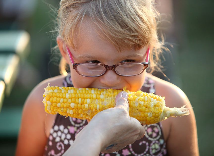 Corn Festival all-ages fun | Windsor Star