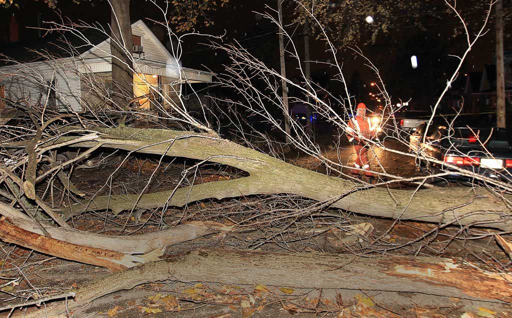 Photos: Wind Damage | Windsor Star