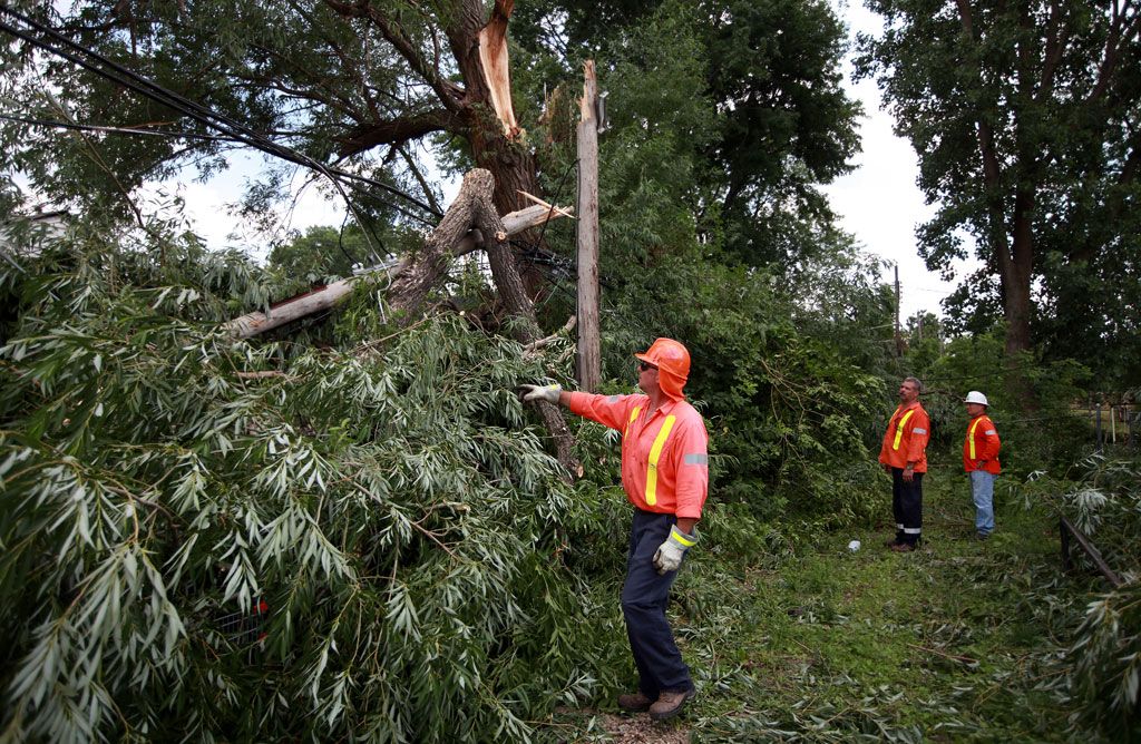 Tree caused power outage for some Windsor residents | Windsor Star