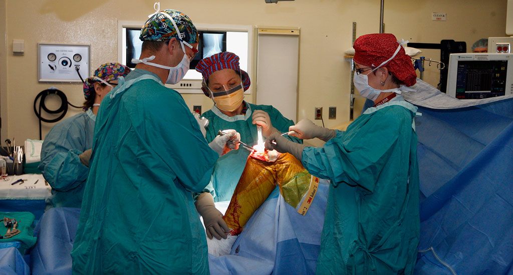 Surgery wait times in Ontario shorter than last year, report finds ...