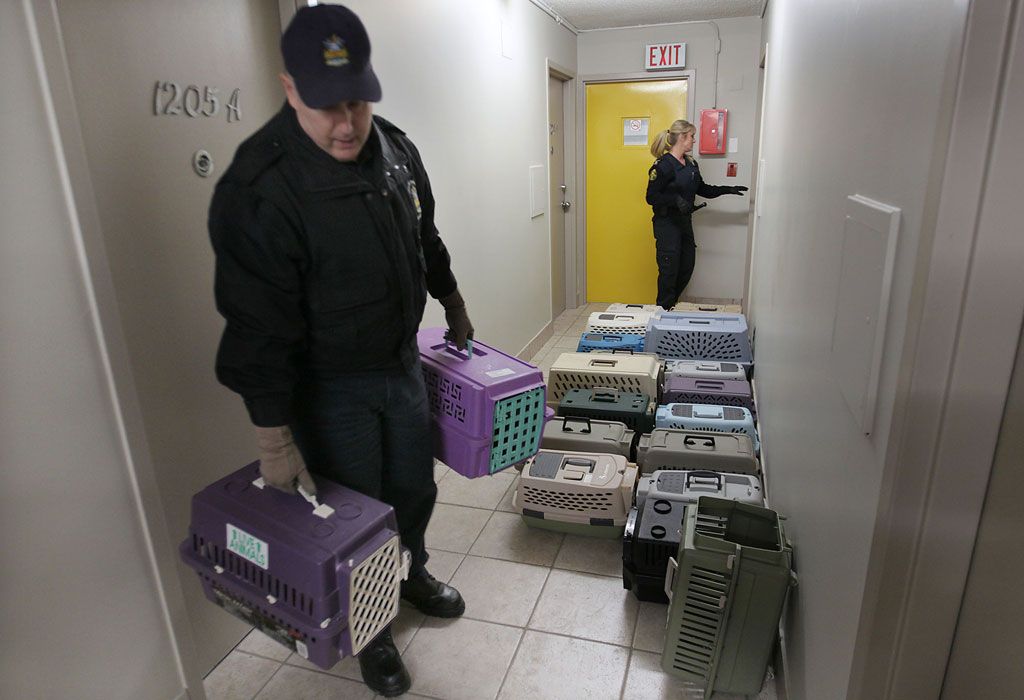 Cat hoarder who stuffed dead cats in freezer sentenced to probation ...