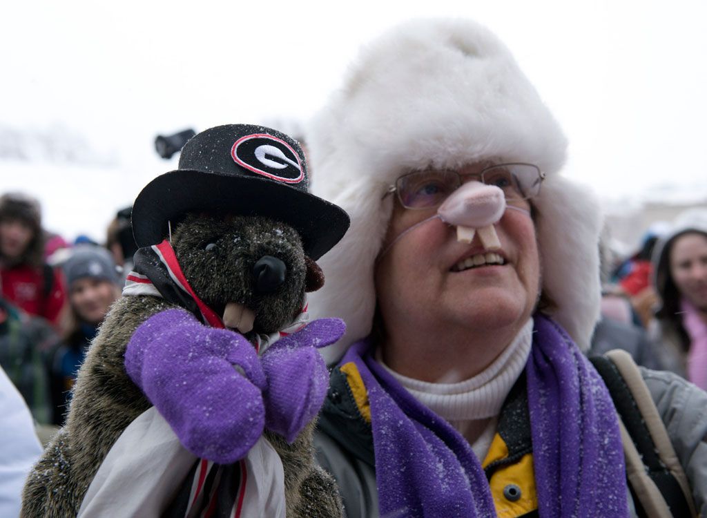 Wiarton Willie doesn't see shadow, spring just around the corner ...