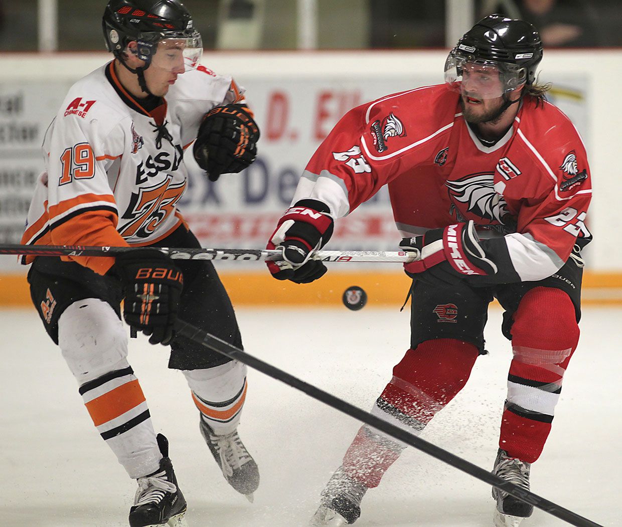 73's earn split with Picton | Windsor Star