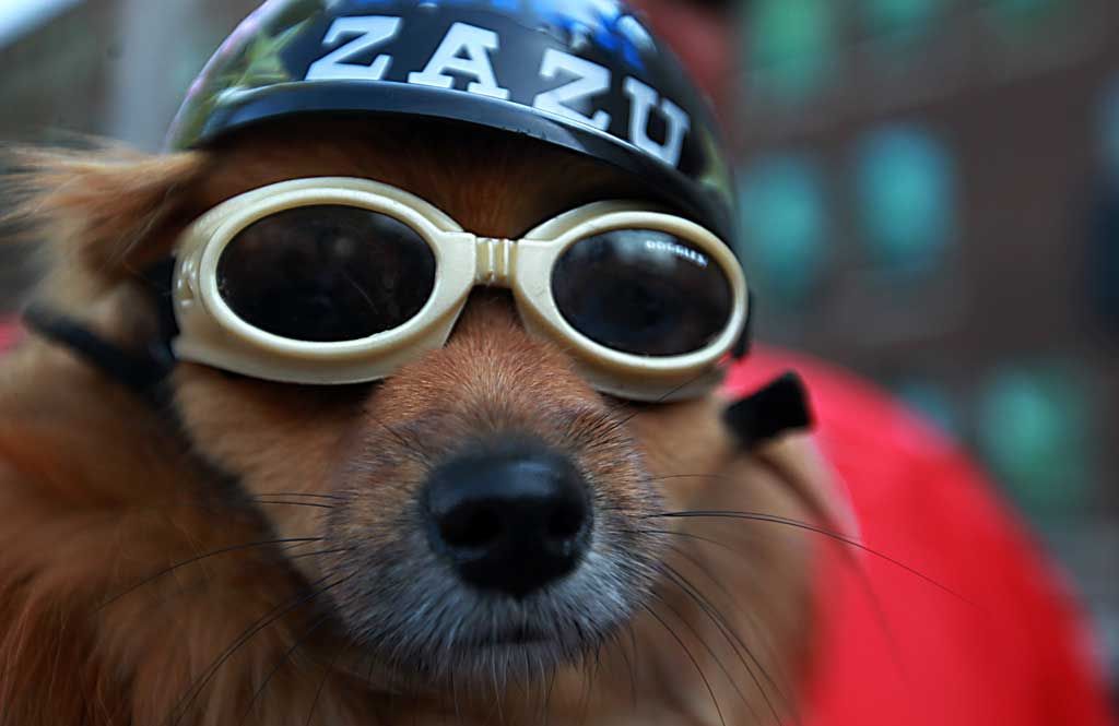 Photos: 3rd Annual Bob Probert Memorial Ride | Toronto Sun