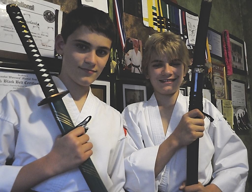 Autistic brothers learn self-control, focus through martial arts ...