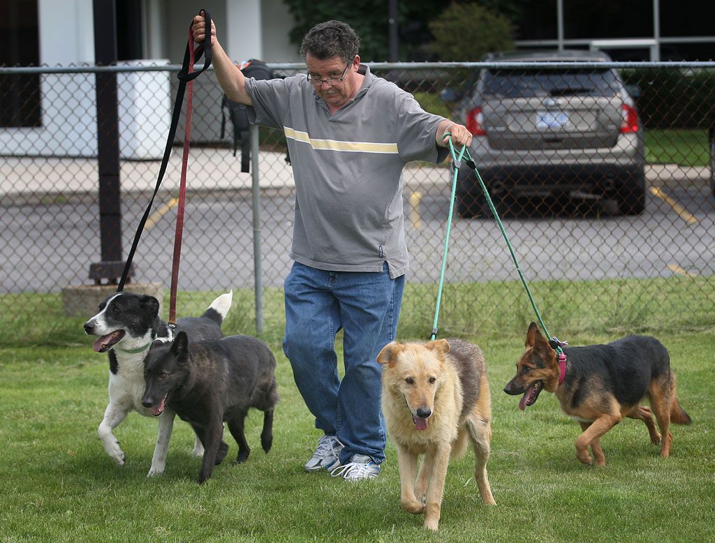 Volunteer work to rescue dogs could've been more useful here in Windsor ...