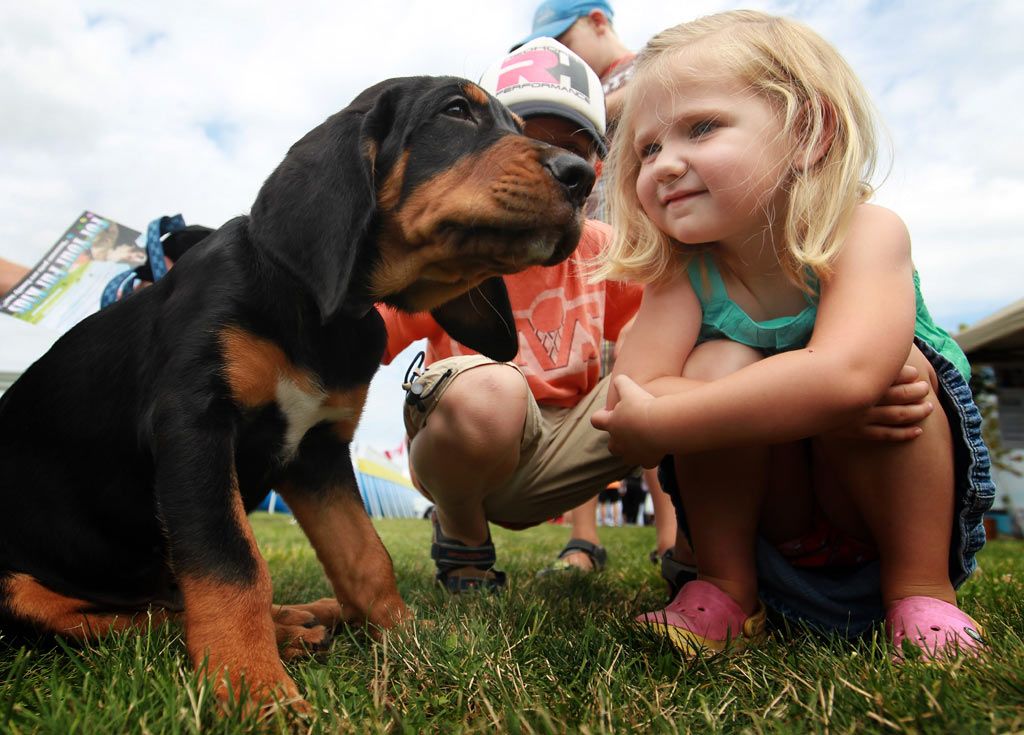 Four finalists with a bark in Woofa-Roo Pet Fest contest | Windsor Star