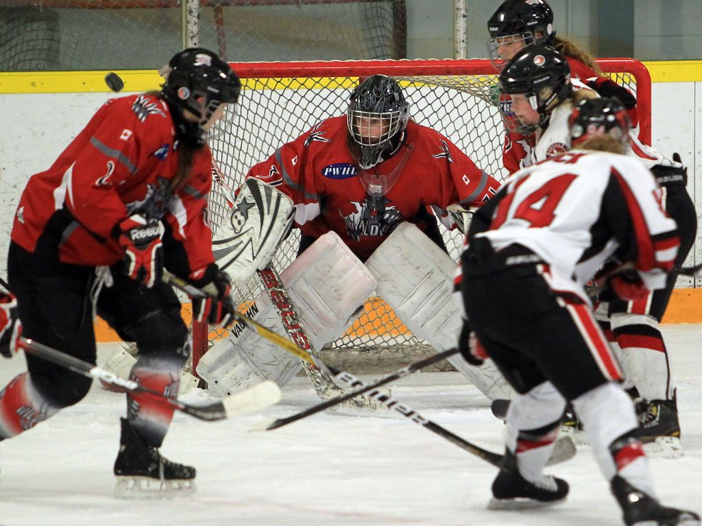 Wildcats to unveil new look Saturday | Windsor Star