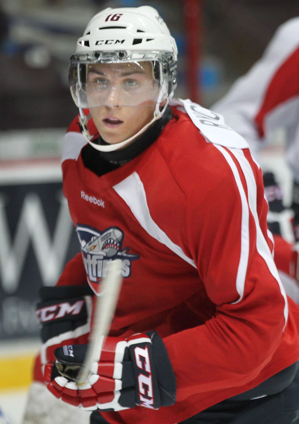 Rychel proud to be Spits captain | Windsor Star