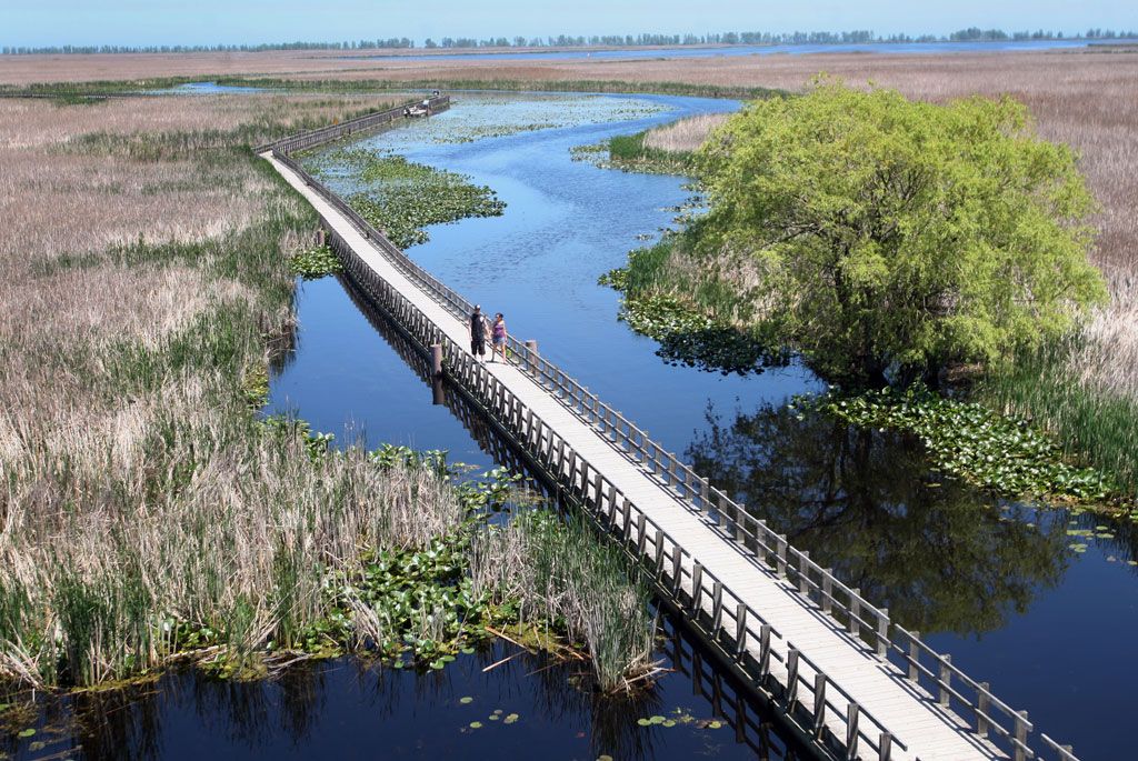 Breast cancer fundraiser moves to Point Pelee | Windsor Star
