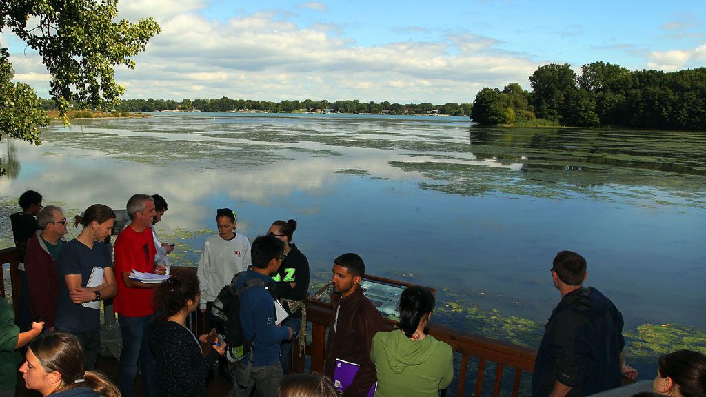 Jarvis: The incredible story of Humbug Marsh (With video) | Windsor Star