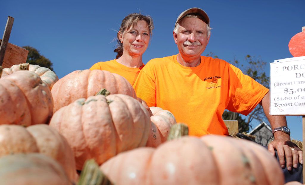 Pumpkins 'blush' for charity | Windsor Star