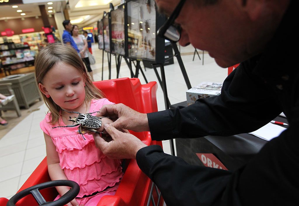 Video: The Incredible World Of Bugs | Windsor Star