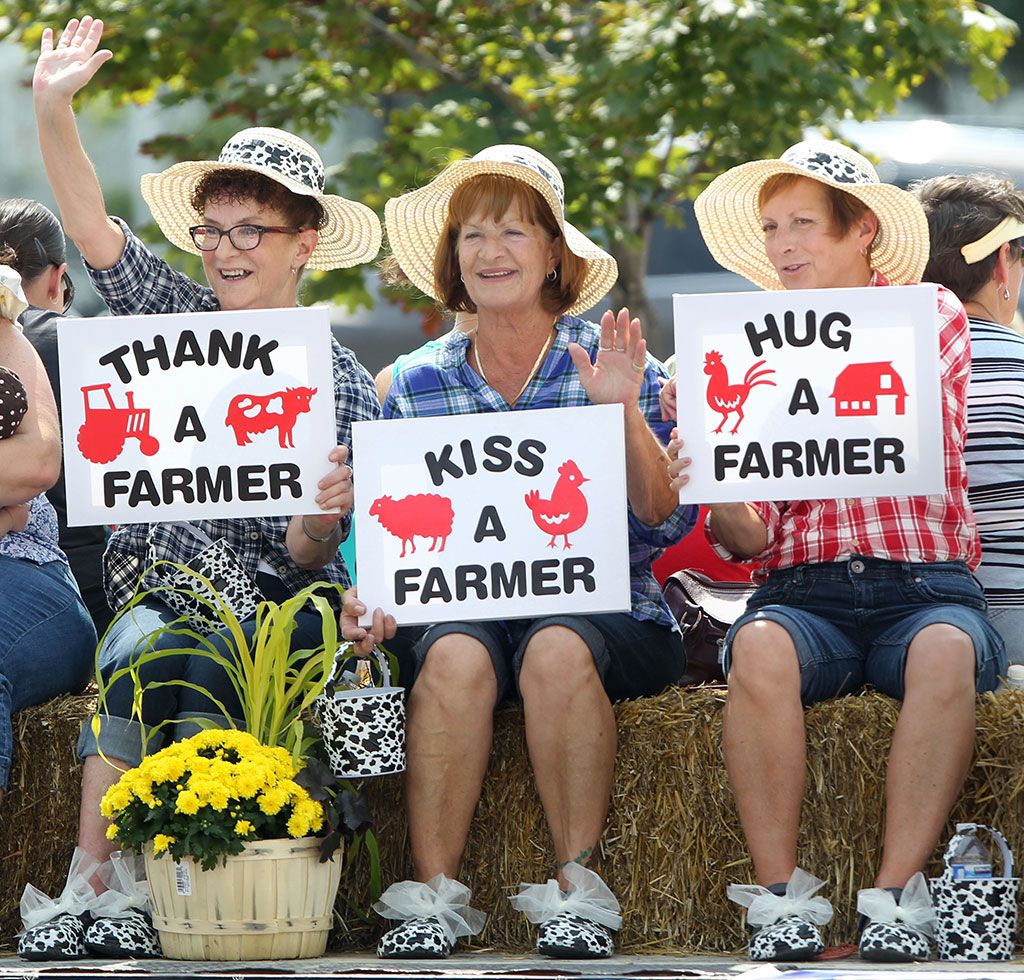 Farming and livestock: an important feature at the Harrow Fair ...