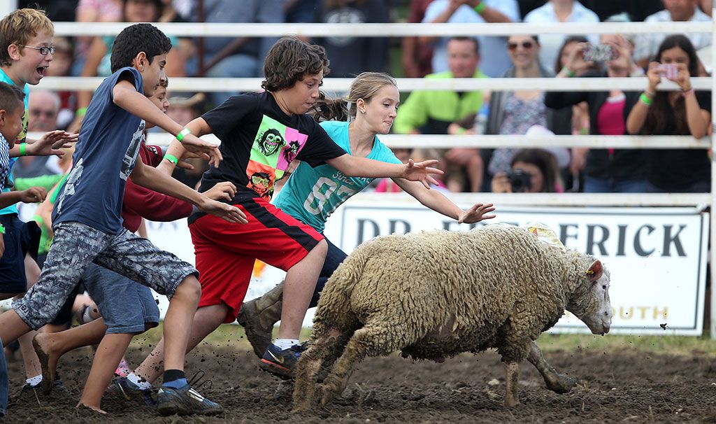 Photos: Sun Parlour Rodeo | Windsor Star