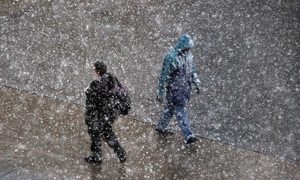 Windsor in Pictures: Nov. 13, 2014 | Windsor Star