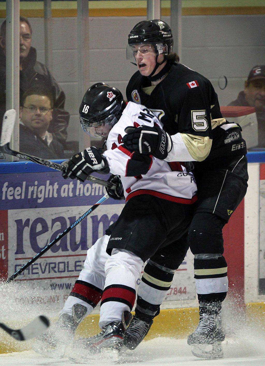 Local sports roundup: Boxers Lee, Chaffey turn silver to gold | Windsor ...