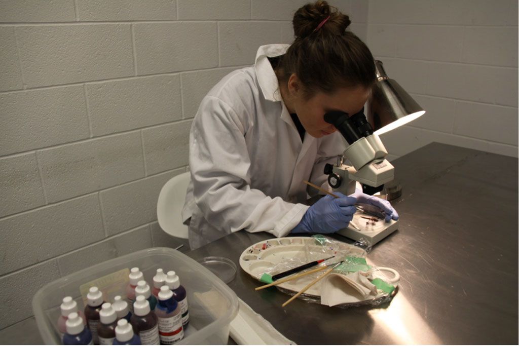 Windsor: The centre for bioart in Canada | Windsor Star