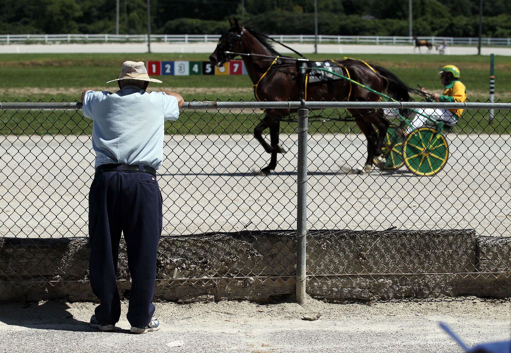 Photos: Leamington harness racing | Windsor Star