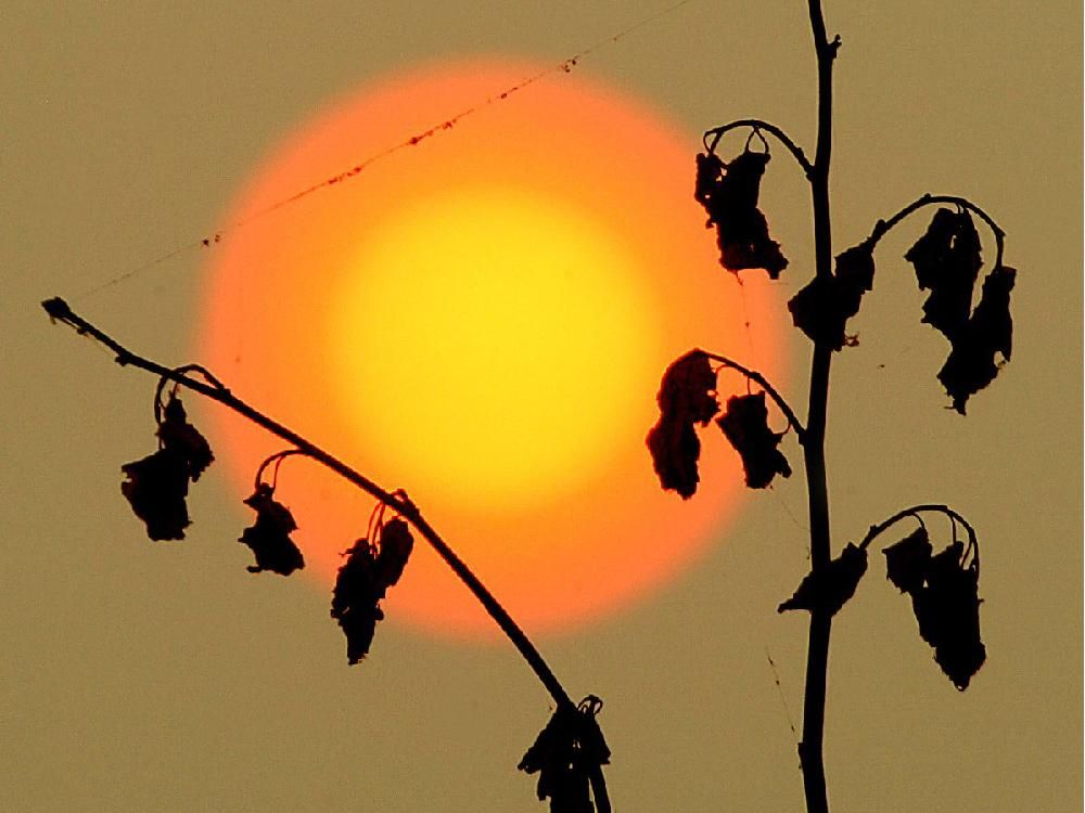 Windsor weather: Sunny | Windsor Star