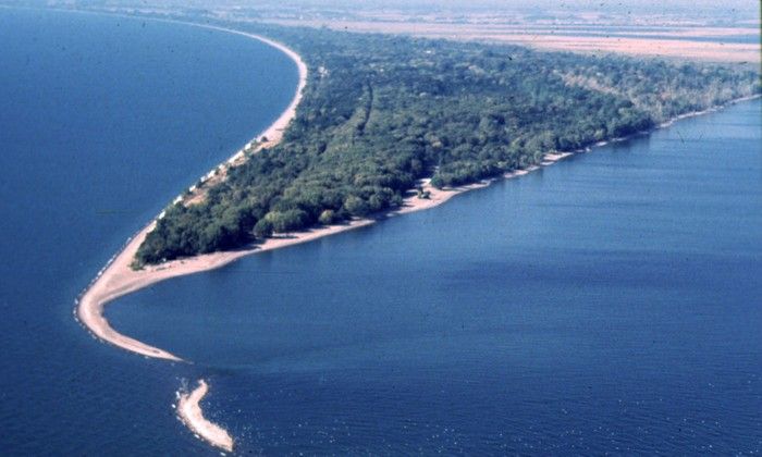 Point Pelee deer cull ends | Windsor Star