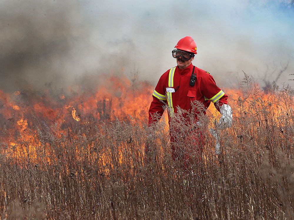 Hillman Marsh undertakes prescribed burn | Windsor Star