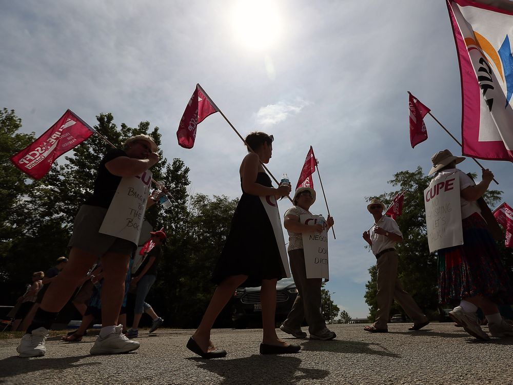 Dedicated library patron steals the show at solidarity rally for ...