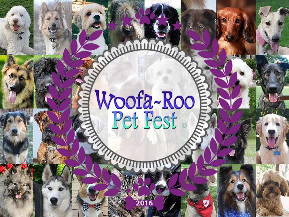 Round 5 Voting: The Face of Woofa-Roo | Windsor Star