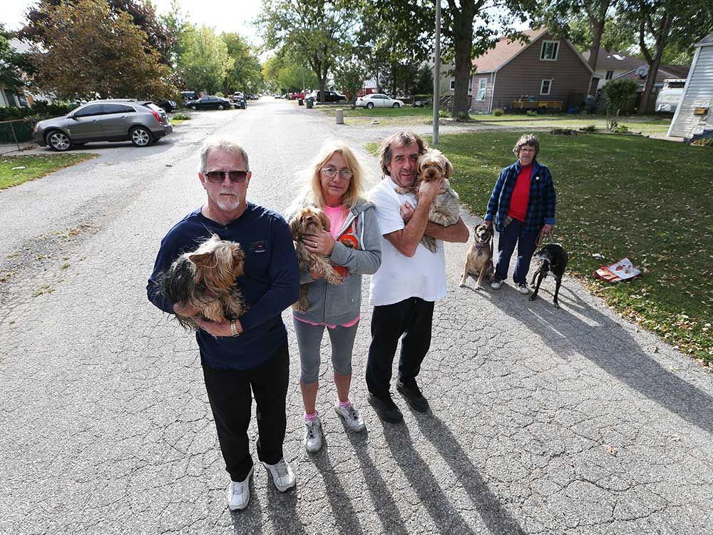 Windsor Rats: Residents fear for their health and pets | Windsor Star