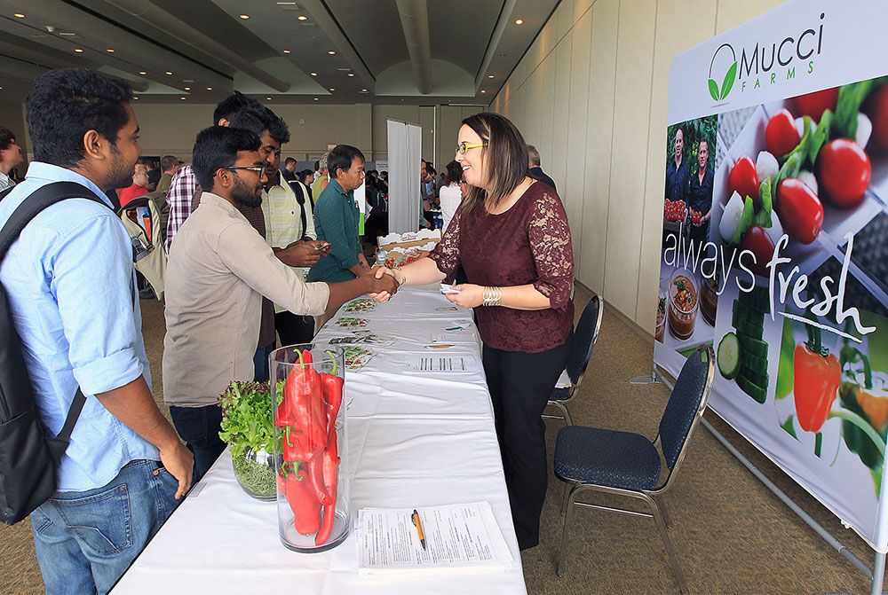 Job seekers line up for downtown Windsor job fair | Windsor Star