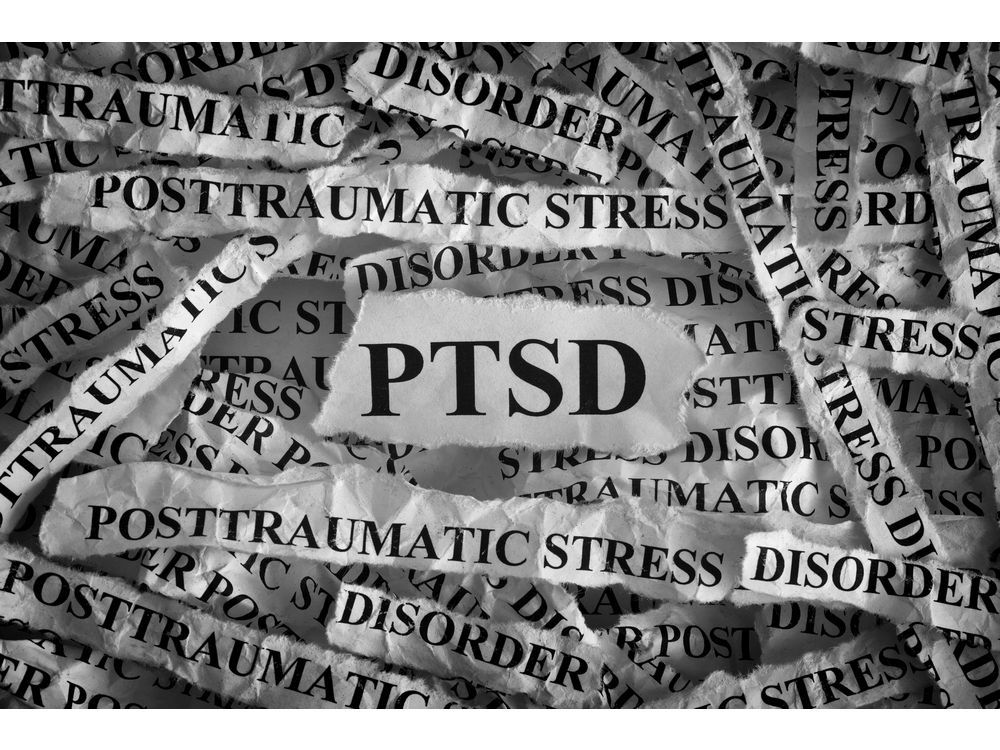 Feds to fund studies of post-traumatic stress injuries | Windsor Star