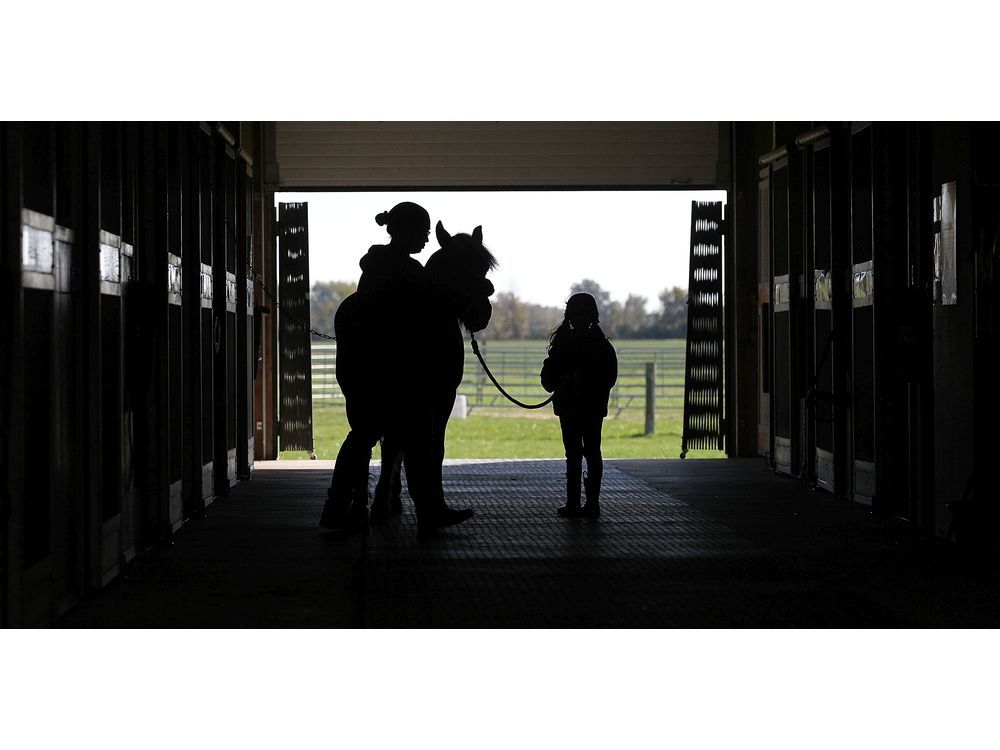 Windsor-Essex Therapeutic Riding Association gets Trillium grant ...