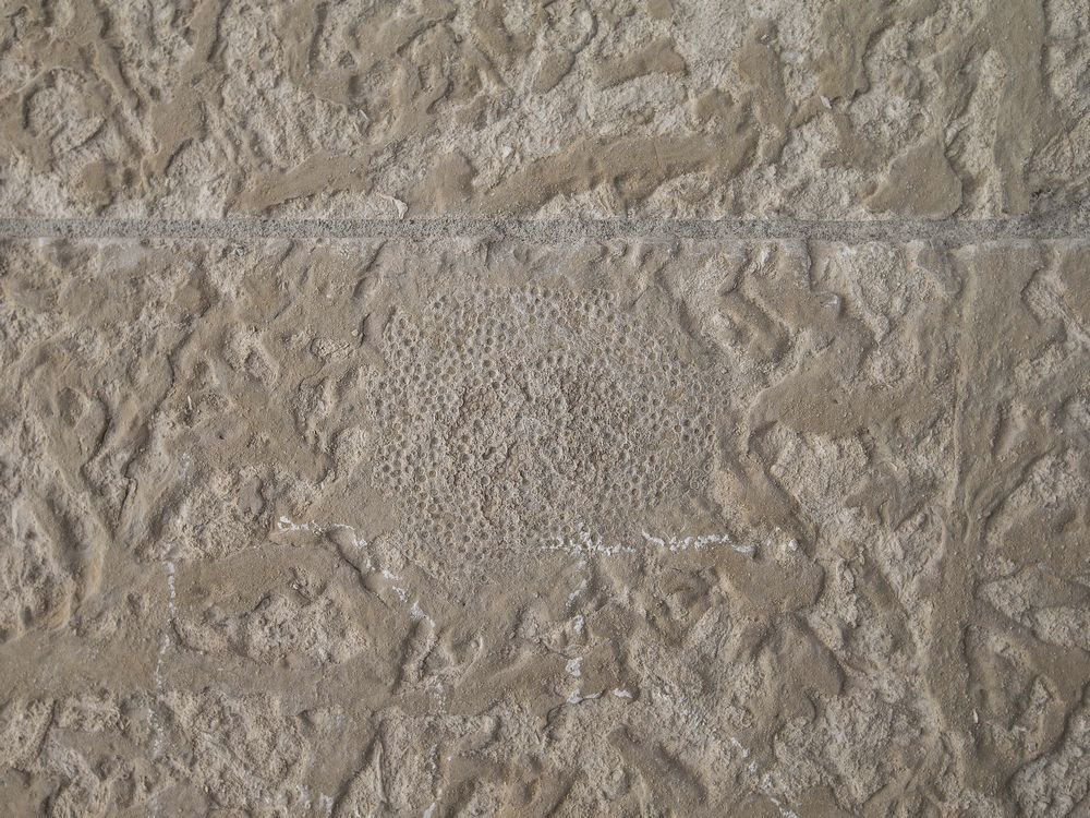 Paul Martin Building resoration project on schedule | Windsor Star