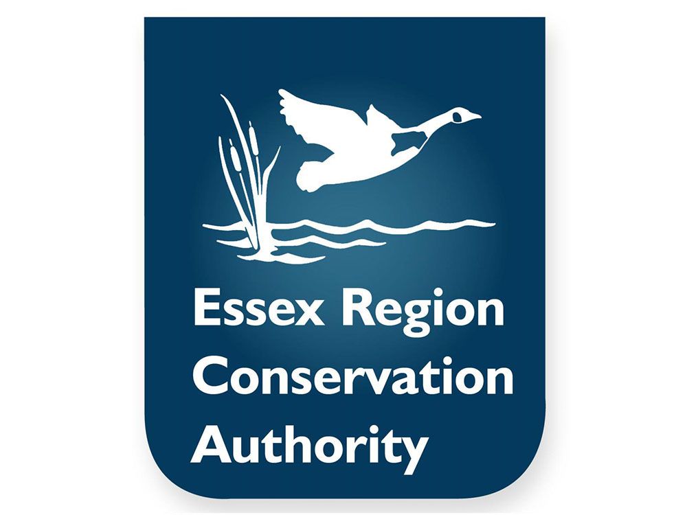 ERCA launches project to restore abandoned marina at Sturgeon Creek ...