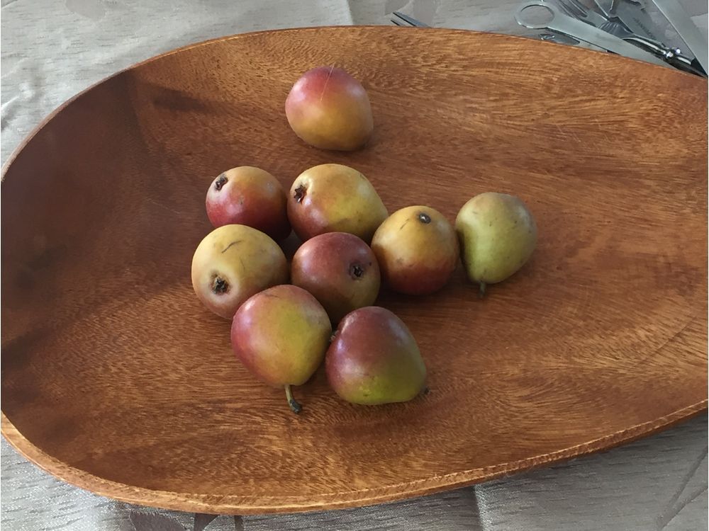 Jesuit pear tree makes Ark of Taste list of endangered foods | Windsor Star