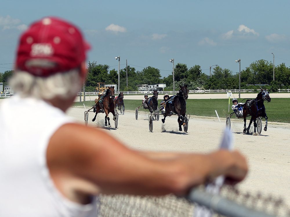 County council throws its support behind local horse racing | Windsor Star